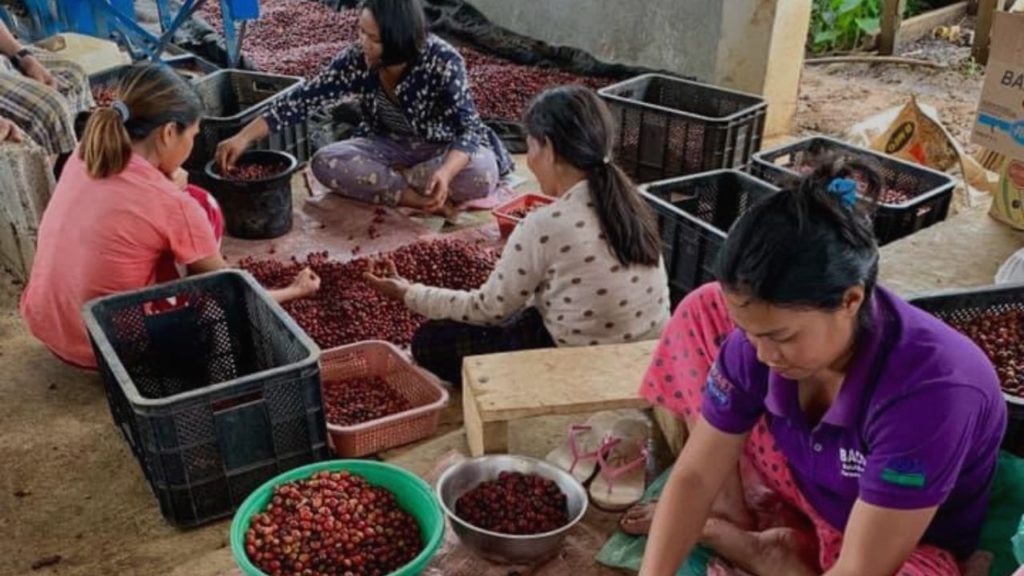 Fresh Roasted Coffee Beans Supplier in the Philippines by Coffeellera