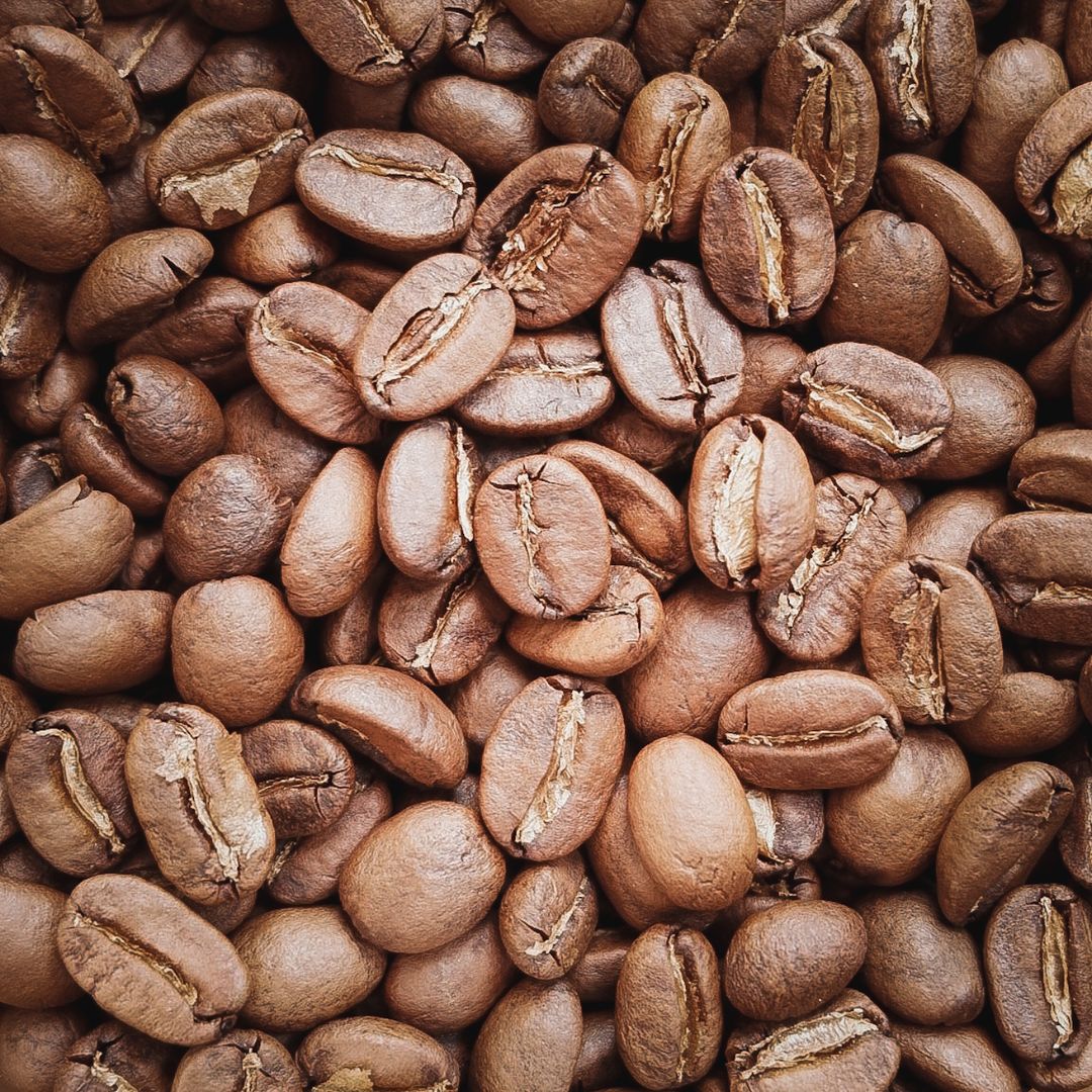 Kibungan Coffee Beans, Washed Process by Coffeellera